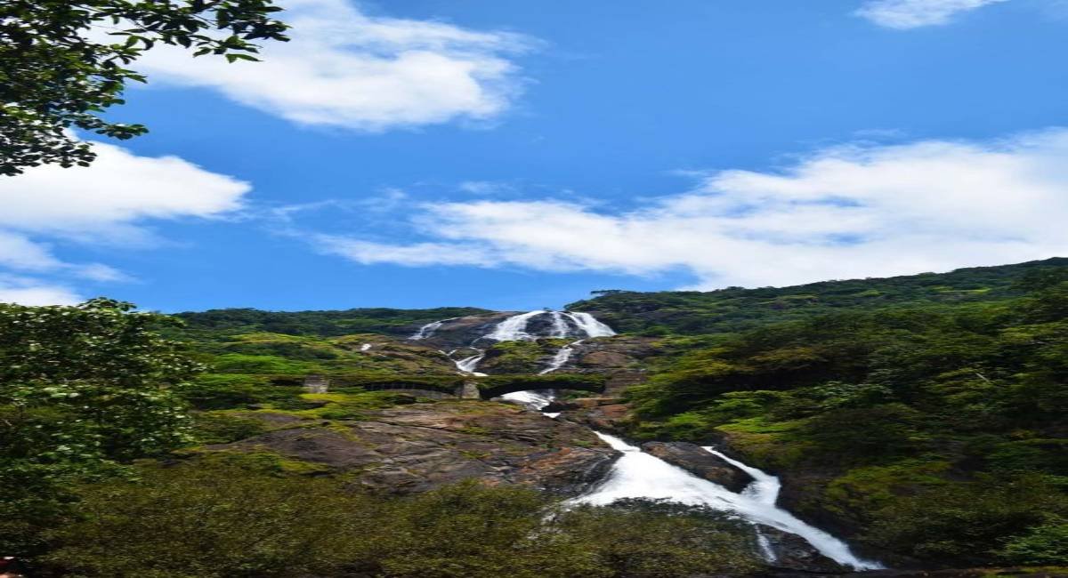 Exploring the Majestic Dudhsagar Waterfalls: Goa's Natural Wonder 2024
